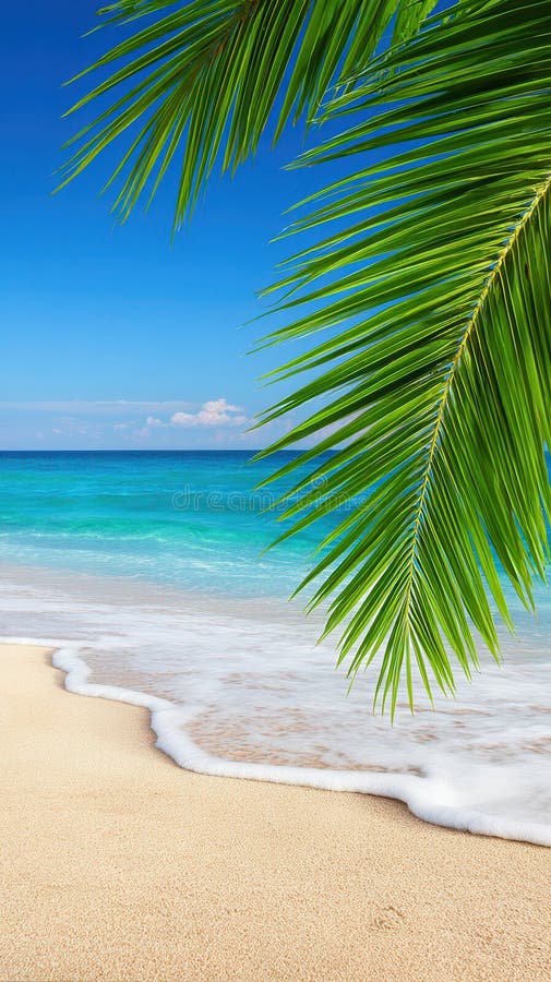 Single Palm Tree on Sandy Beach with Calm Ocean and Clear Blue Sky in ...