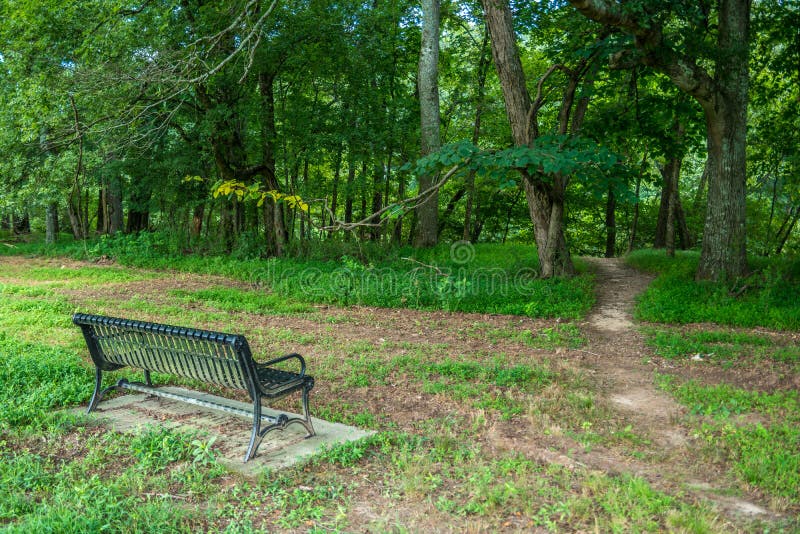 Park bench in the woods stock photo. Image of forest - 157691550