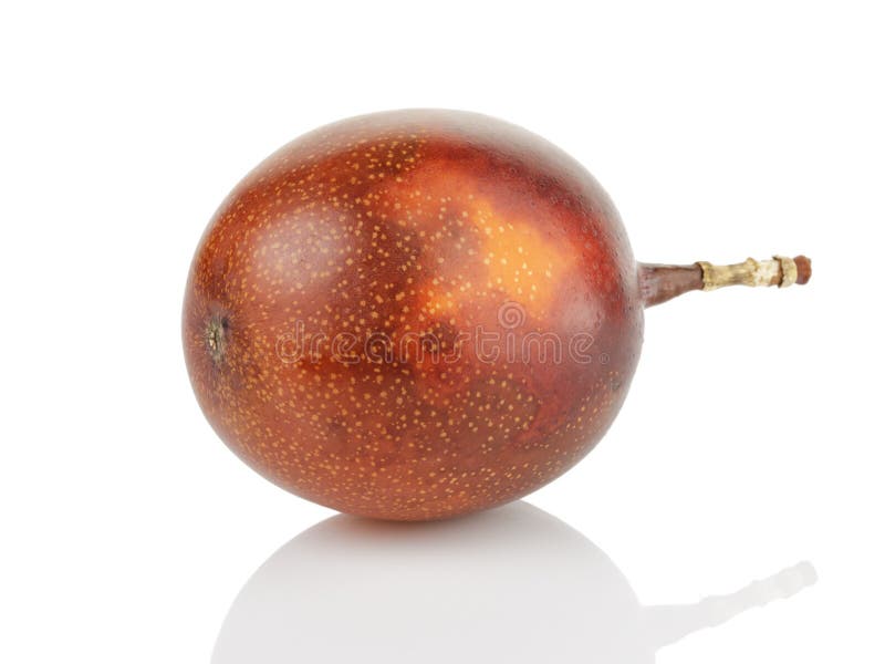 Single Passion Flower stock image. Image of nature, close - 5280717