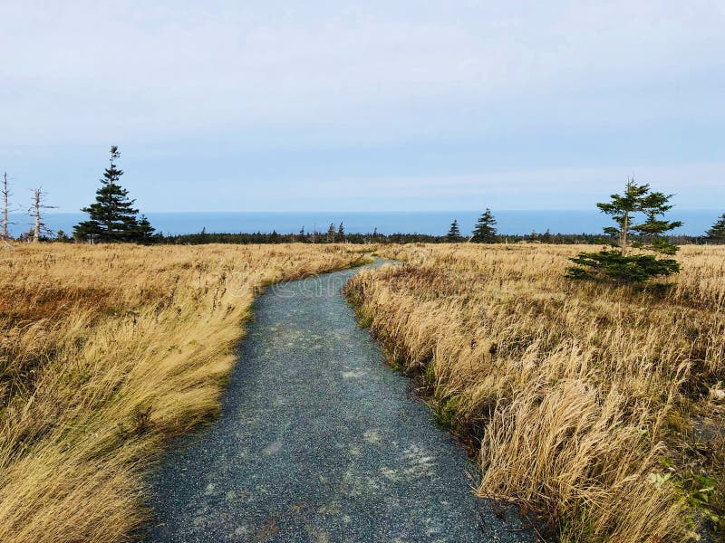Single path. stock photo. Image of blue, flying, background - 203617182