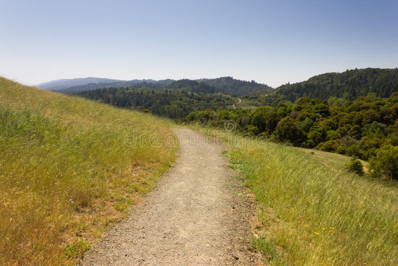 Single Path stock image. Image of single, area, dirt - 33071627