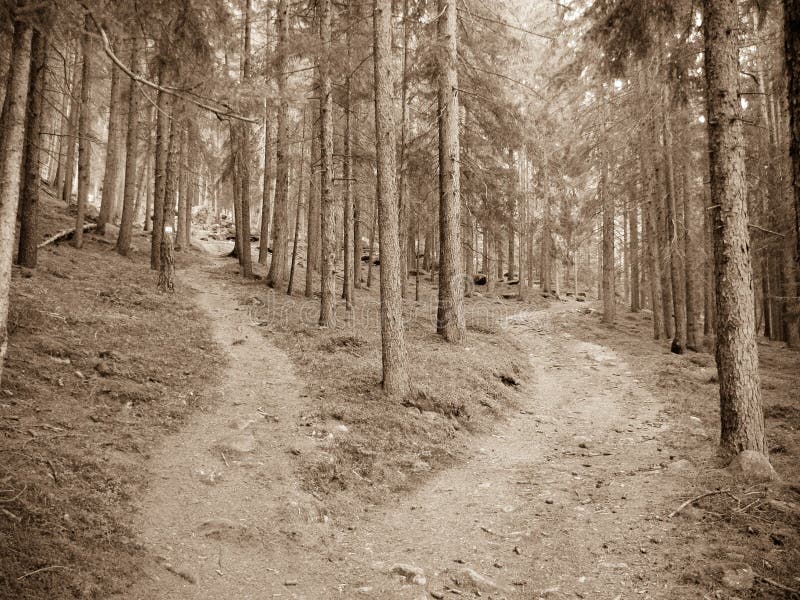 A Single Path Splits in Two Different Directions. Vintage Effect Stock ...