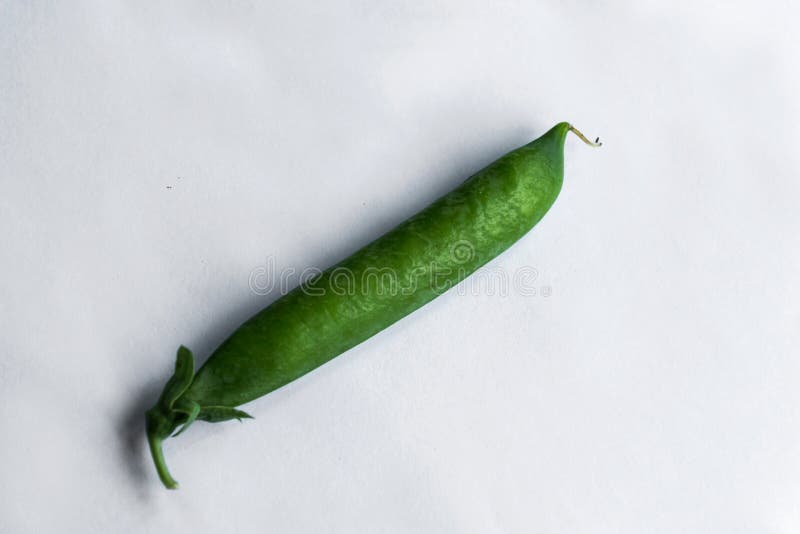 754 Single Pea Pod Stock Photos - Free & Royalty-Free Stock Photos from ...