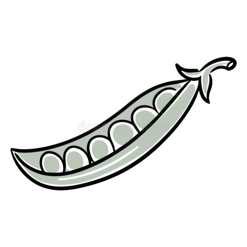 Single Pea Pod Showing Peas with Transparent Background Stock ...