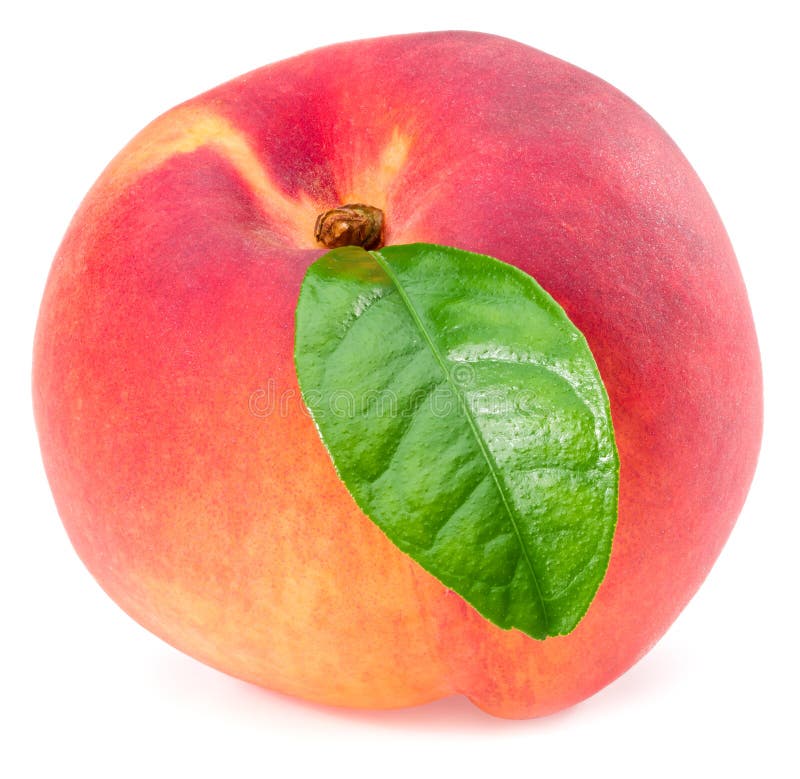 Single Peach Fruit with Green Leaf Isolated on White Background Stock ...