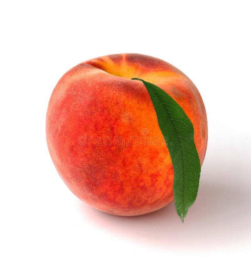 Single Peach with Leaves on a White Background Stock Photo - Image of ...