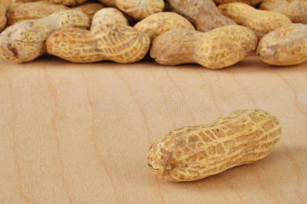 Single Peanut stock photo. Image of snack, horizontal - 12436710