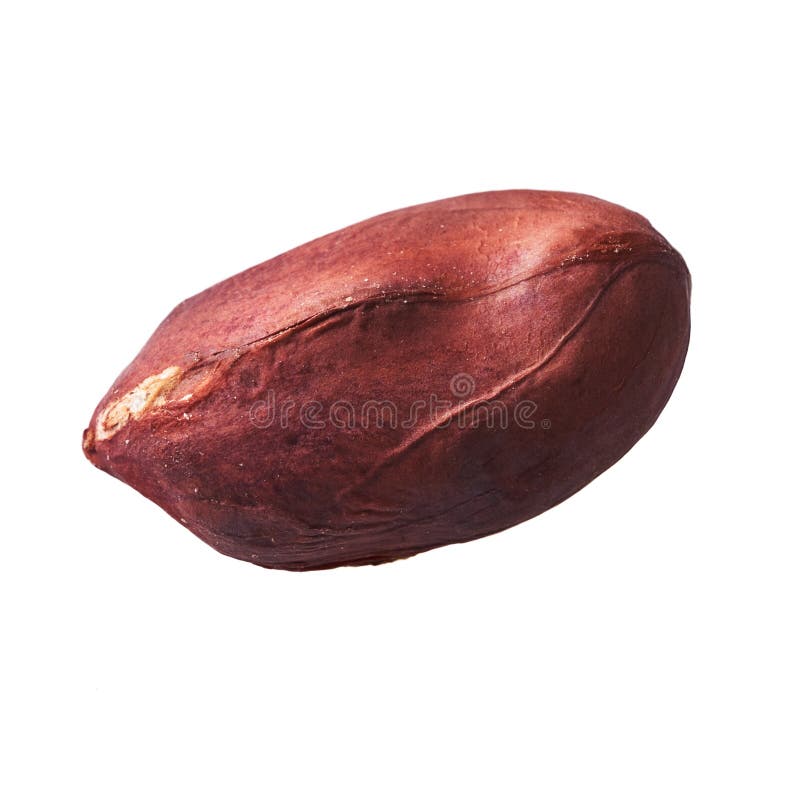 674 Single Groundnut Stock Photos - Free & Royalty-Free Stock Photos ...