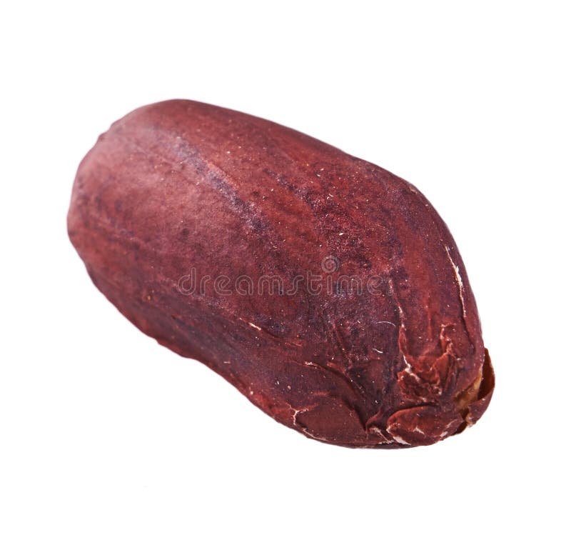 Single Peanut Isolated on a White Background Stock Image - Image of ...