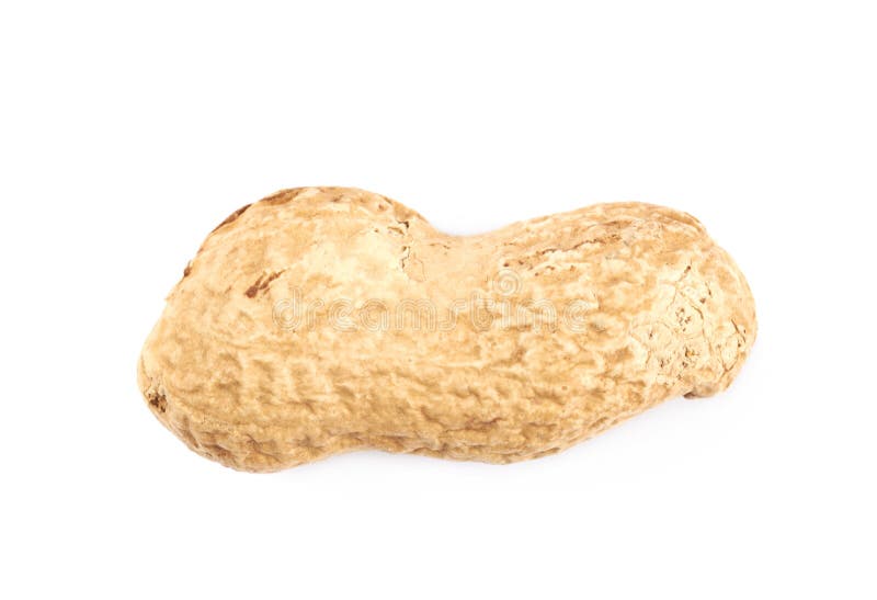 Single Peanut in a Shell Isolated Stock Image - Image of heap, healthy ...