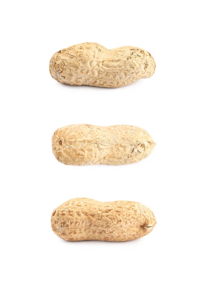 Single Peanut in a Shell Isolated Stock Photo - Image of kernel ...