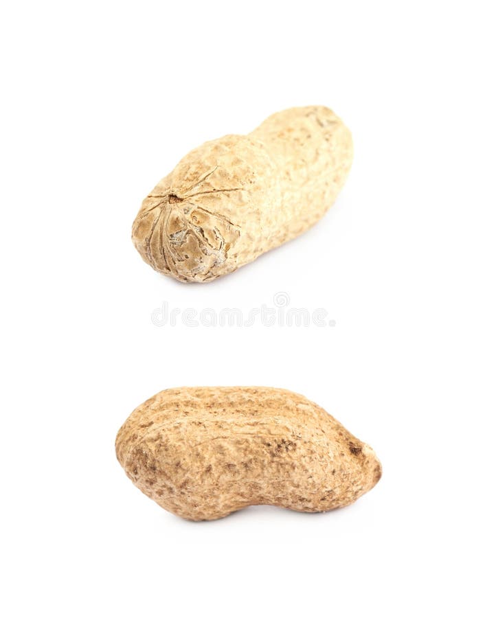 Single Peanut in a Shell Isolated Stock Image - Image of heap ...