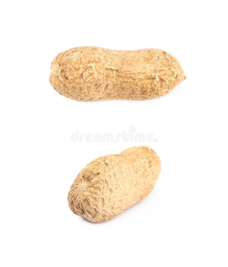 Single Peanut in a Shell Isolated Stock Photo - Image of group ...