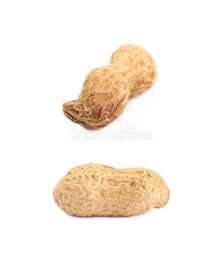 Single Peanut in a Shell Isolated Stock Photo - Image of peel ...