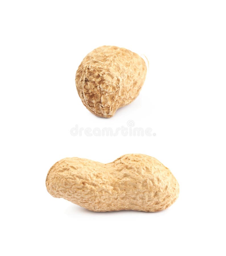 Single Peanut in a Shell Isolated Stock Image - Image of peanut, open ...