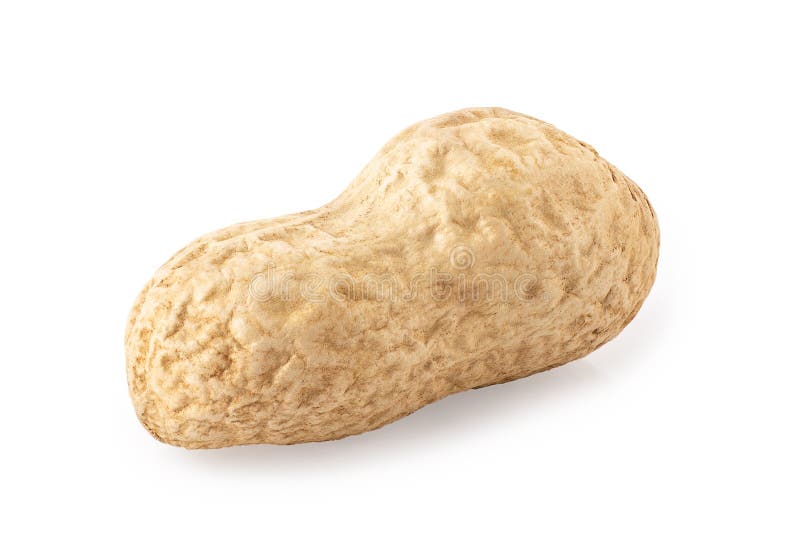 Single peanut - isolated stock photo. Image of natural - 109372946