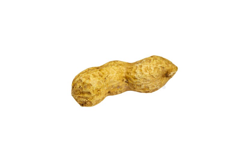 Single Peanut stock image. Image of peanut, shell, background - 50753851
