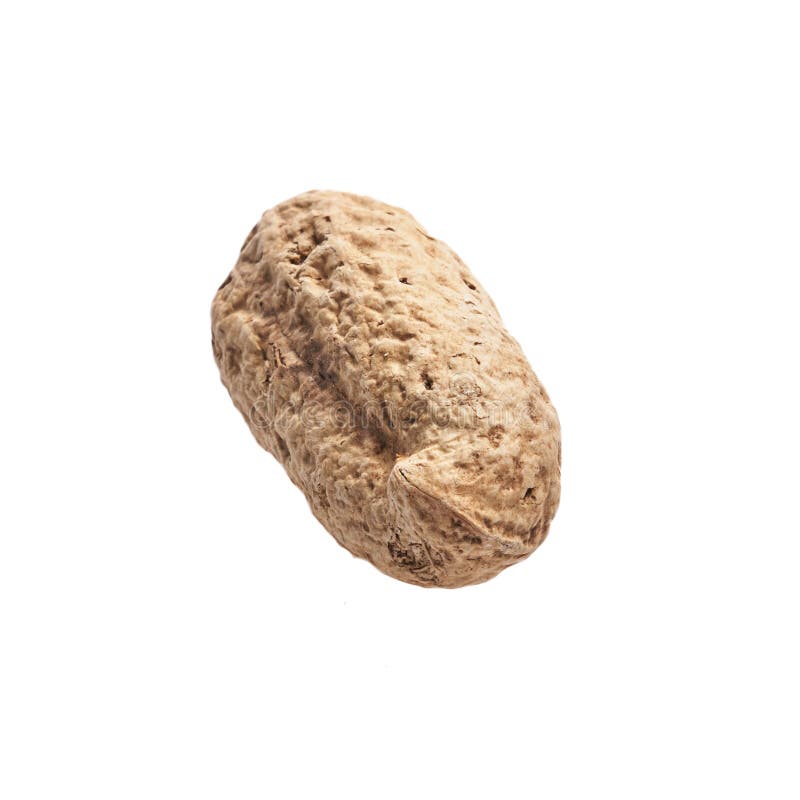 Single Peanut with Shell Isolated on a White Background Stock Image ...