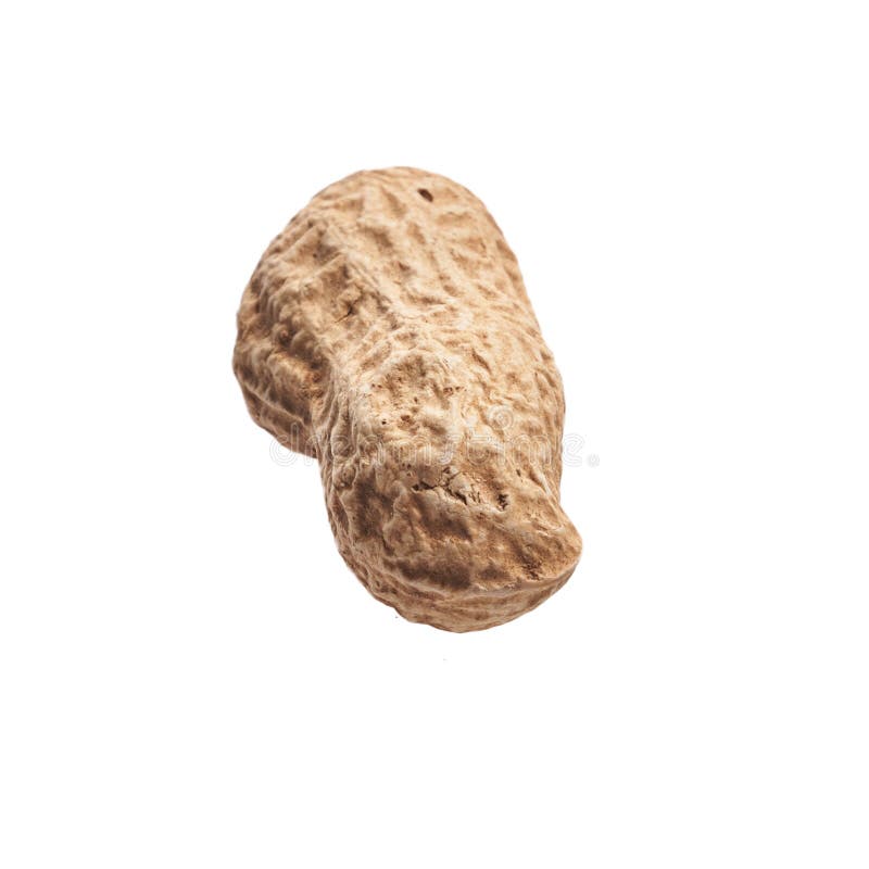 Single Peanut with Shell Isolated on a White Background Stock Photo ...
