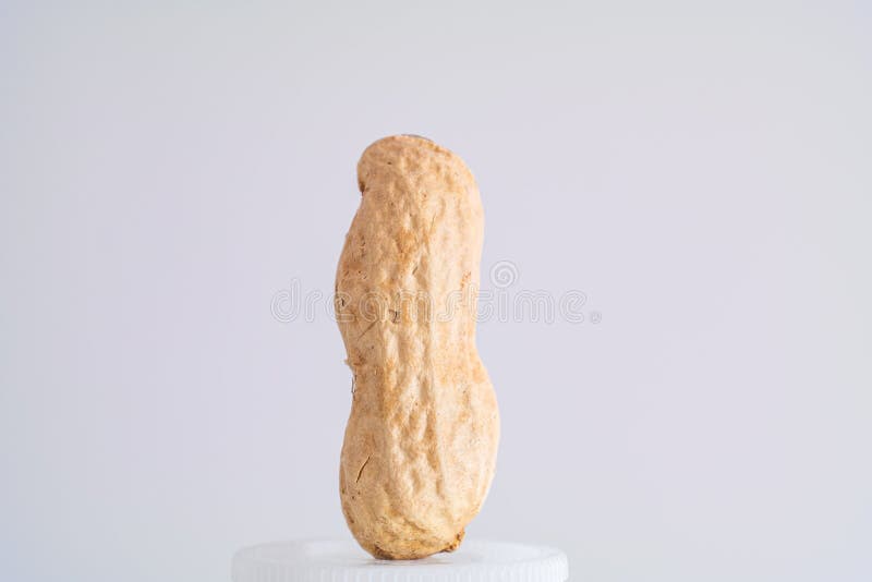 Single Peanut in Shell Macro Close Up Shot Vertical Curved Isolated ...