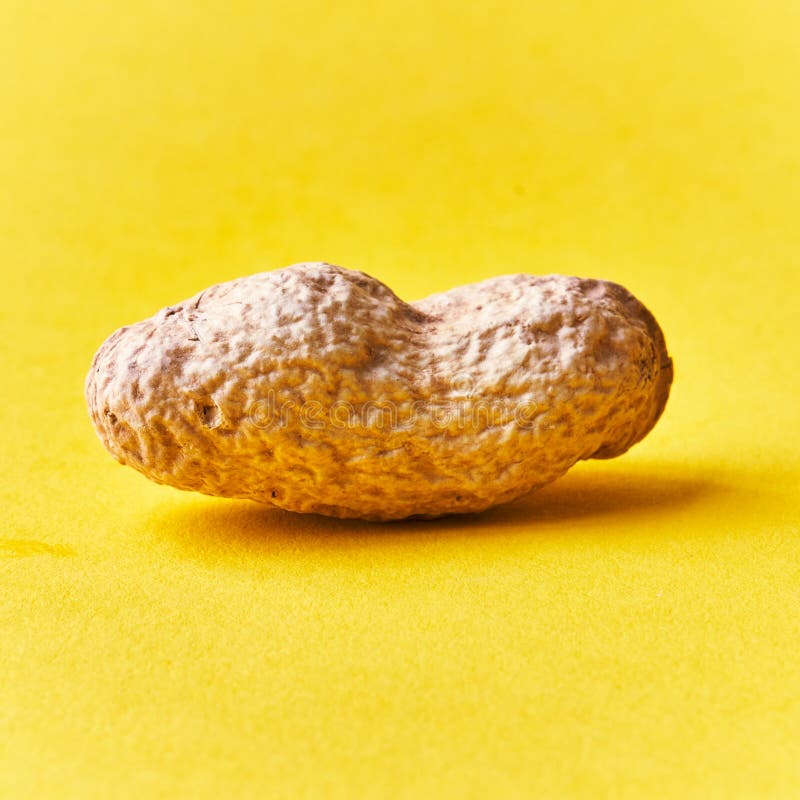 674 Single Groundnut Stock Photos - Free & Royalty-Free Stock Photos ...