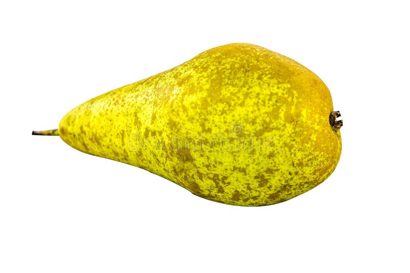 Single Pear stock image. Image of green, agriculture - 39554401