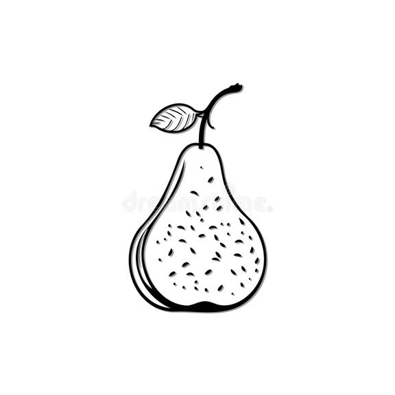 Single Pear Line Art Illustration on White Stock Vector - Illustration ...
