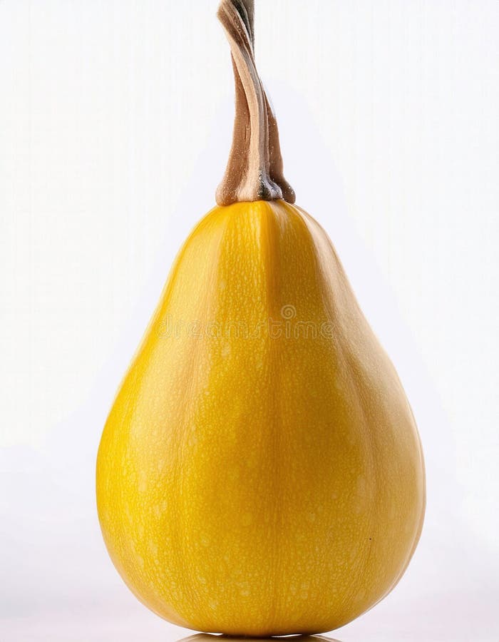 A Single, Pear-shaped Yellow Squash with a Brown Stem, Resting on a ...