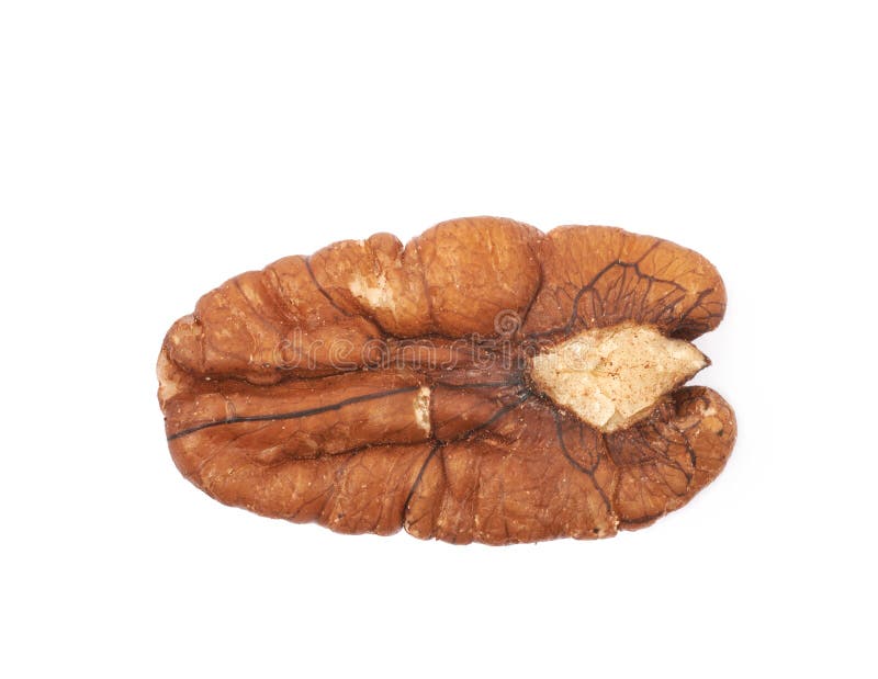 538 Single Pecan Nut Photos - Free & Royalty-Free Stock Photos from ...