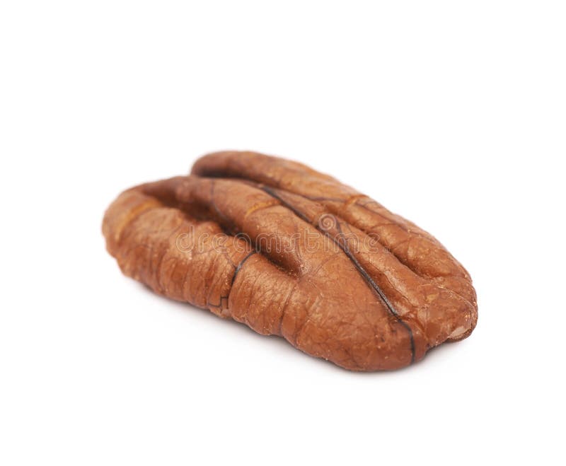 Single pecan nut isolated stock image. Image of peeled - 85488573