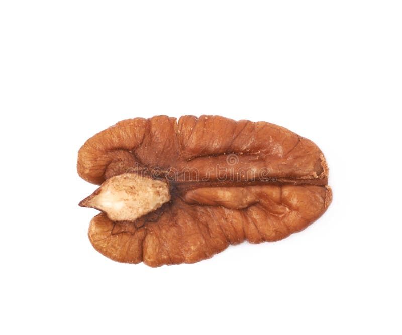 Single pecan nut isolated stock image. Image of antioxidant - 85488669