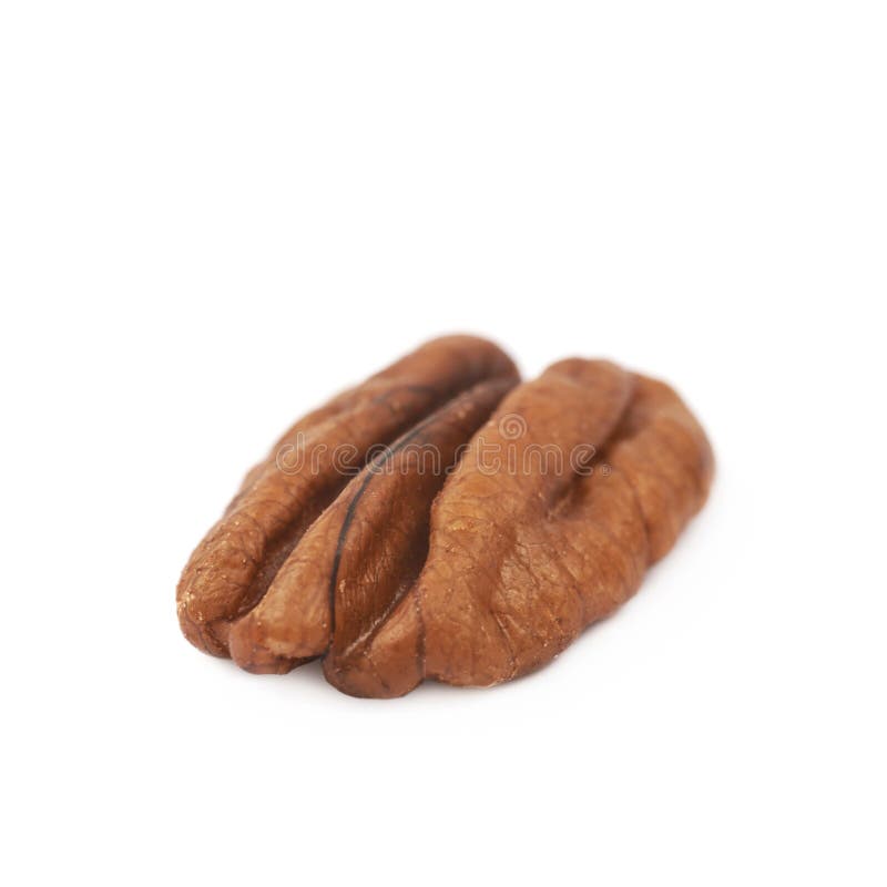 Single pecan nut isolated stock photo. Image of agriculture - 85957092
