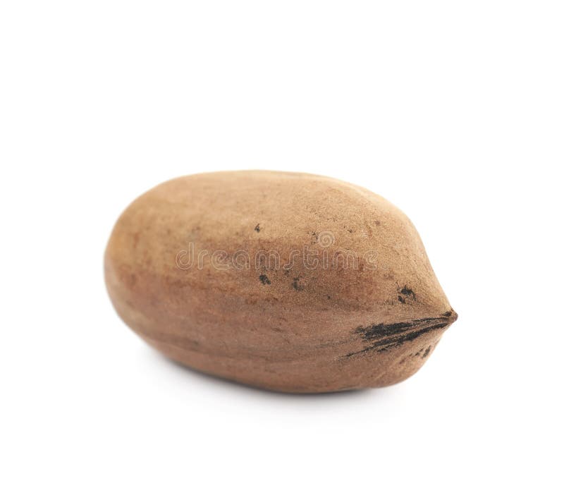 Single pecan nut isolated stock photo. Image of protein - 92012554