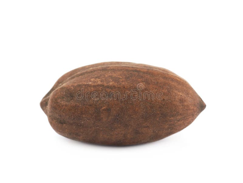 Single pecan nut isolated stock image. Image of ingredient - 92012563