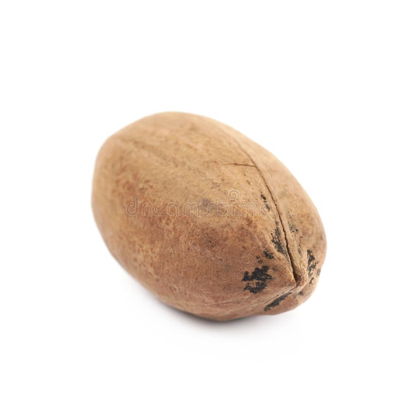 Single pecan nut isolated stock image. Image of diet - 92804709