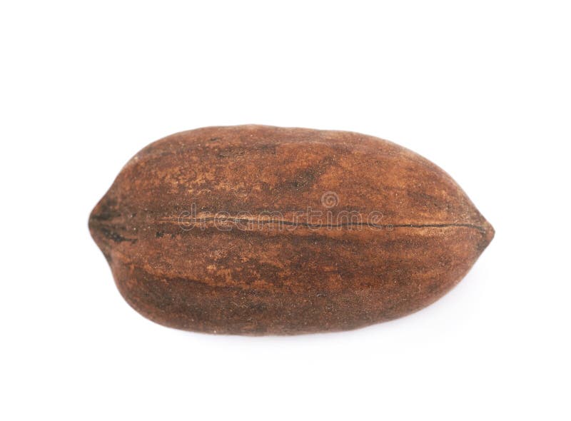 Single pecan nut isolated stock photo. Image of minerals - 92804792