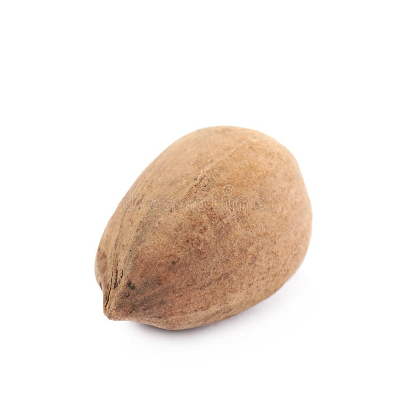 557 Single Pecan Nut Stock Photos - Free & Royalty-Free Stock Photos ...