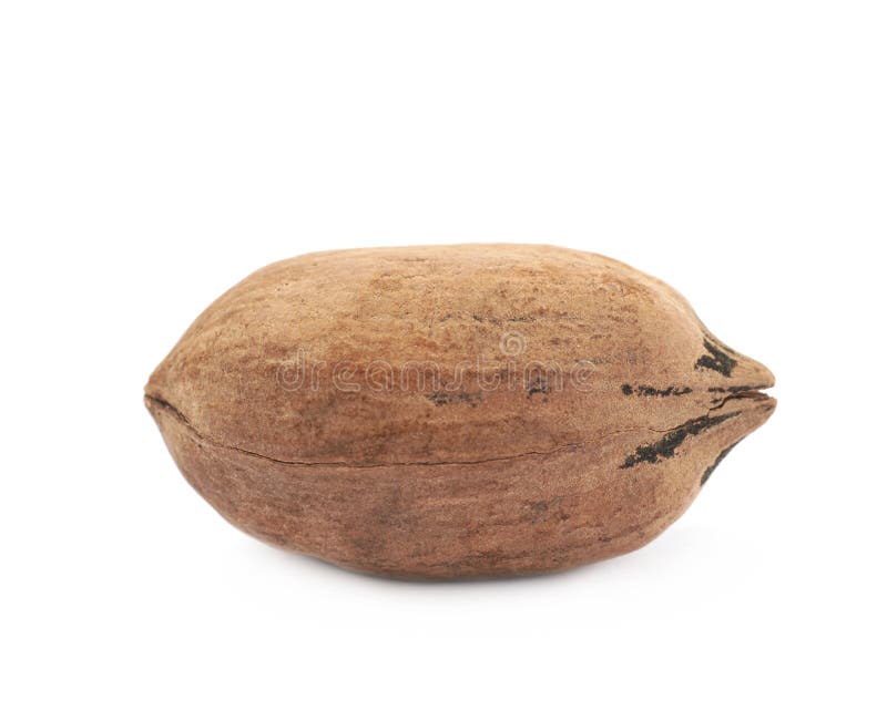 Single pecan nut isolated stock image. Image of protein - 92804907