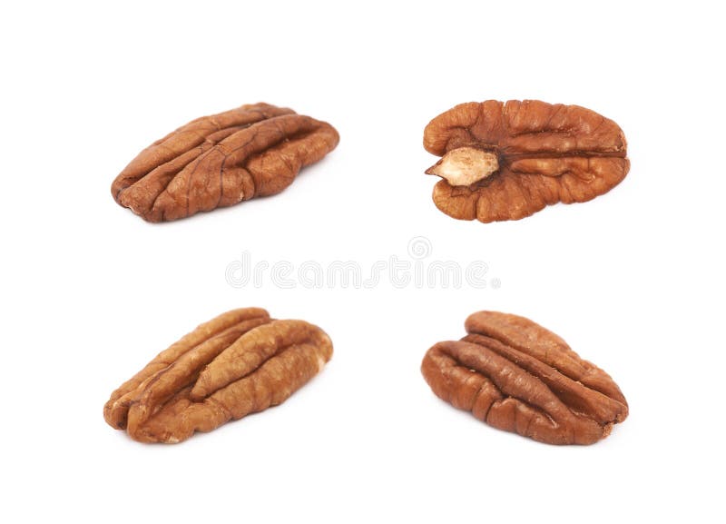 Single pecan nut isolated stock photo. Image of diet - 107562838