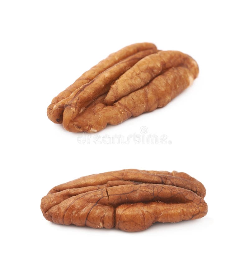 Single pecan nut isolated stock photo. Image of fresh - 91976846