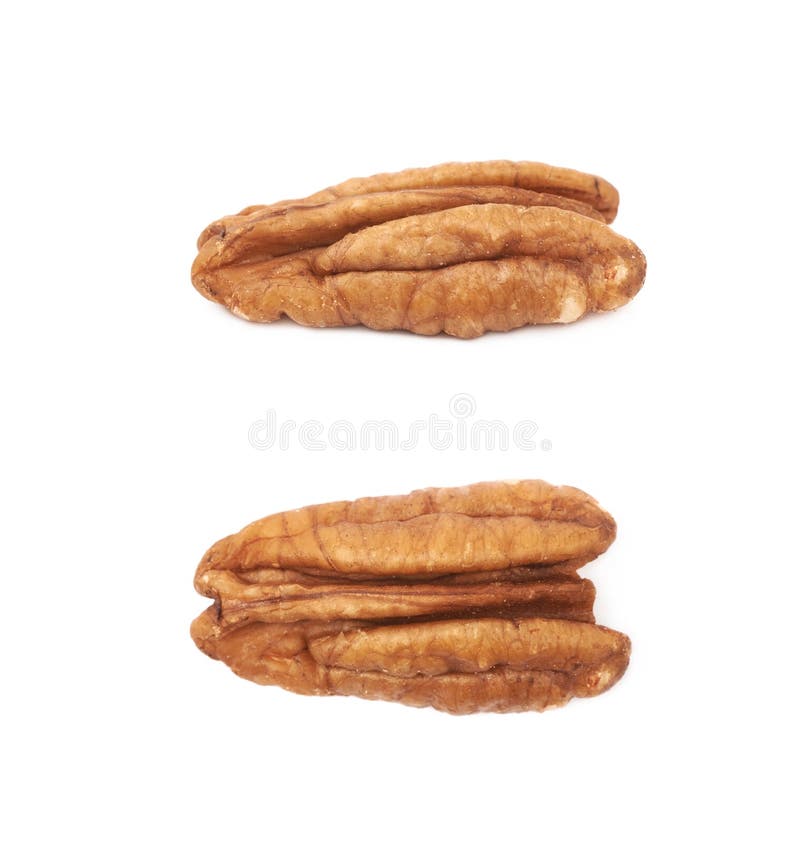 Single pecan nut isolated stock photo. Image of background - 92571260