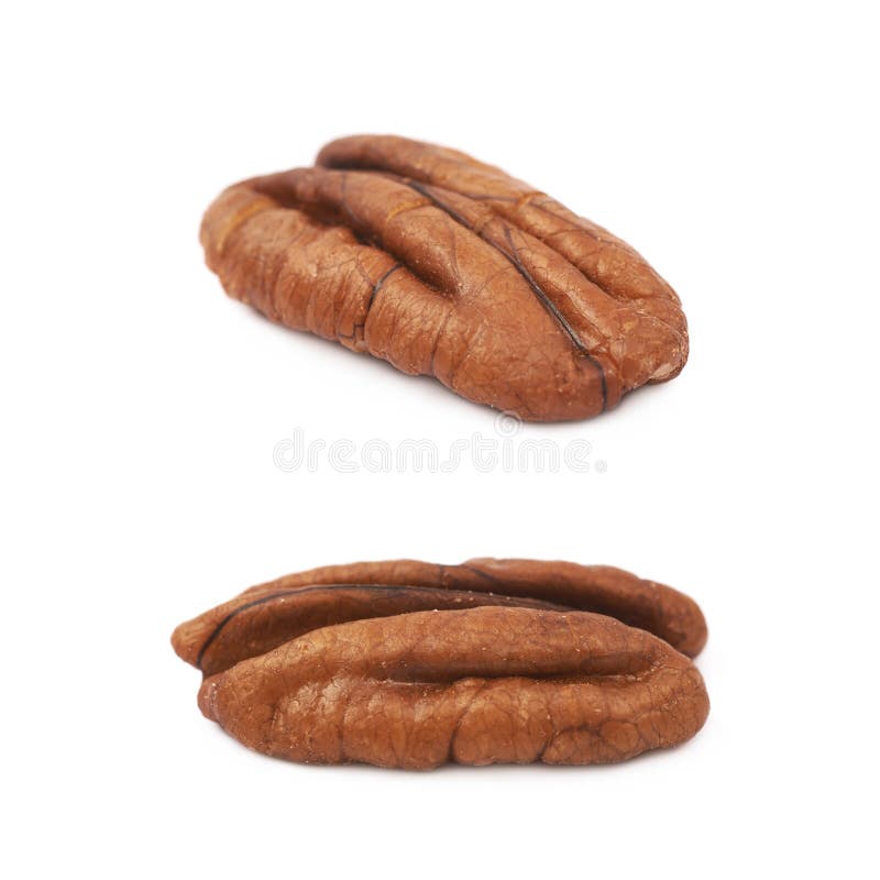 Single pecan nut isolated stock photo. Image of pecannut - 92571414