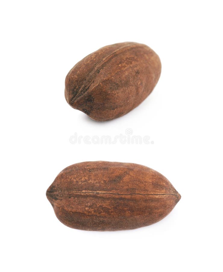 Single pecan nut isolated stock photo. Image of shell - 93092718