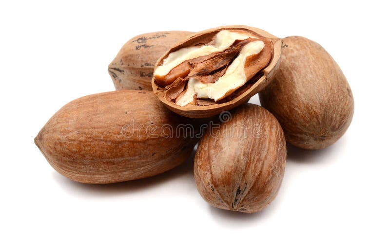 Pecan nut in closeup stock image. Image of nutrition - 113341495