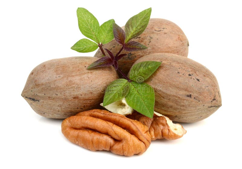Pecans stock photo. Image of nutrition, fatty, heart - 112875476
