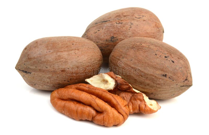 Pecans stock photo. Image of acids, chromium, energy - 112875478