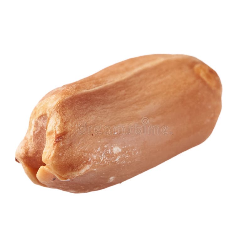 Single Peeled Peanut Isolated on a White Background Stock Photo - Image ...