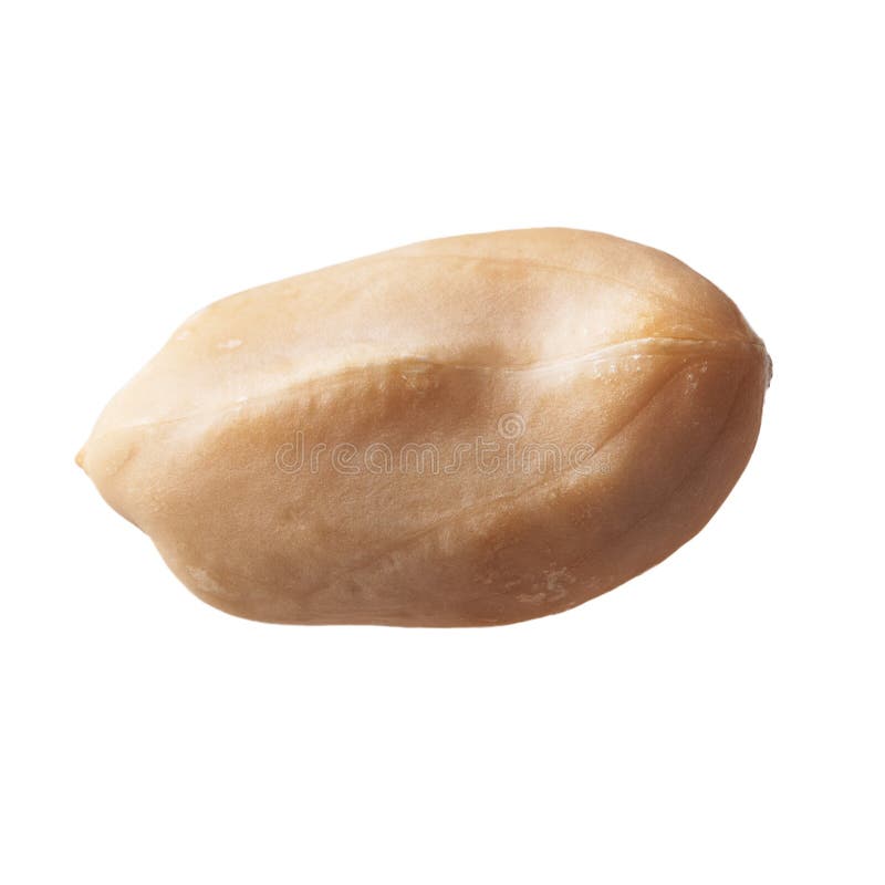 Single Peeled Peanut Isolated on a White Background Stock Photo - Image ...