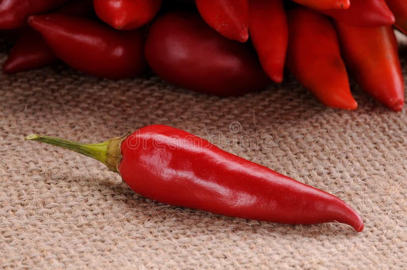 Single Pepper on a Dish Towel Stock Photo - Image of kitchen, condiment ...