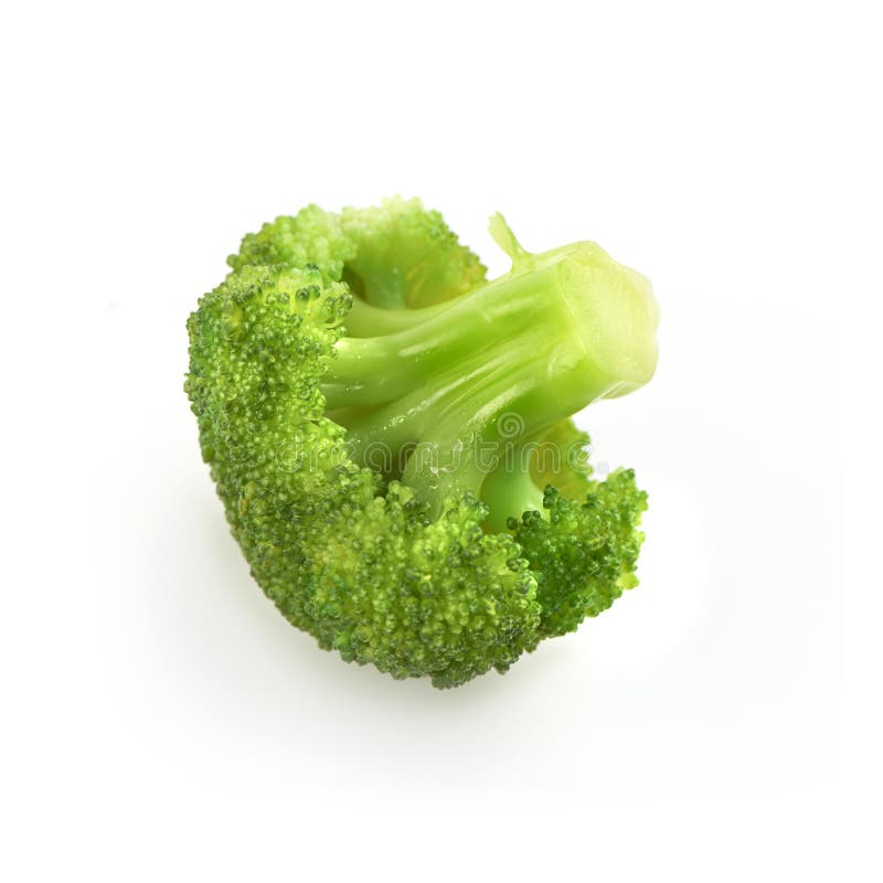 Single Broccoli Isolated On White Background Stock Photo - Image of ...